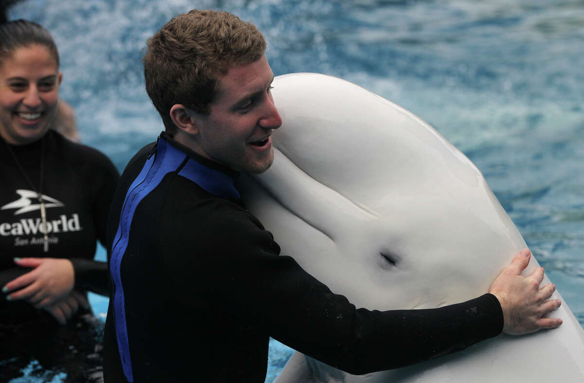 Hacker publishes story offering free SeaWorld admission