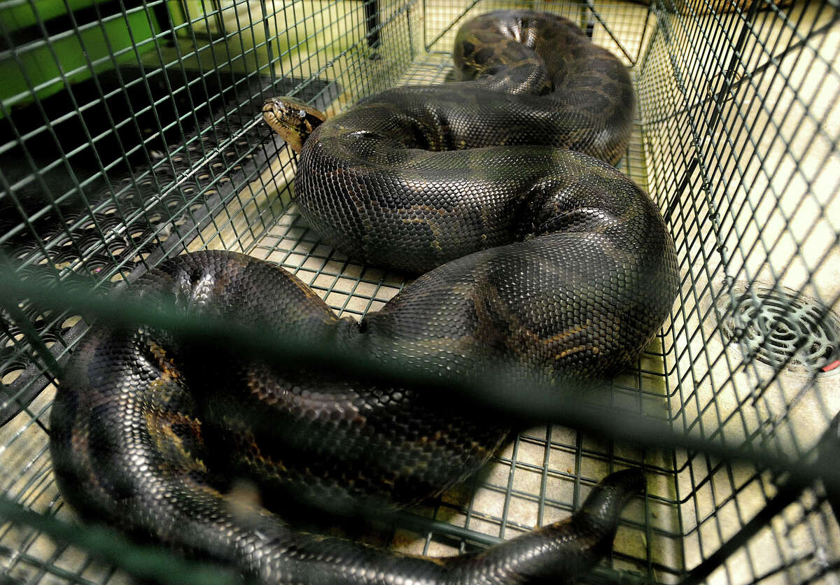 2013 in Photos: Southeast Texas