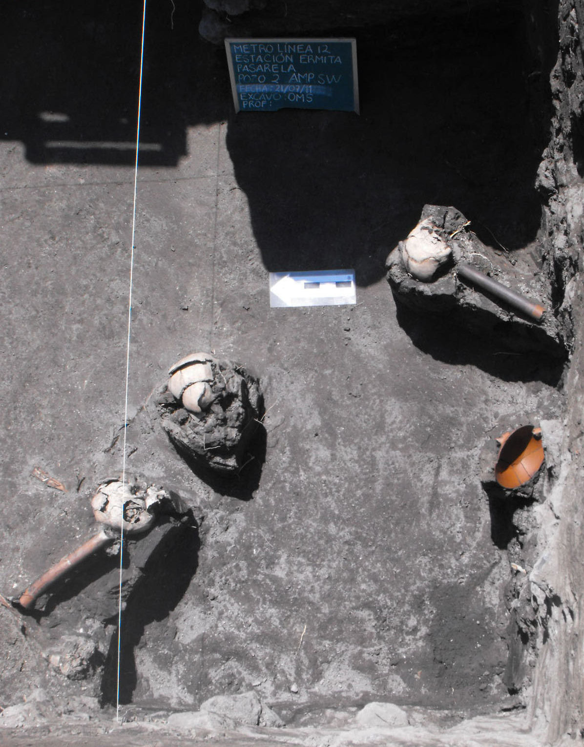 Did Aztecs sacrifice dogs with people?