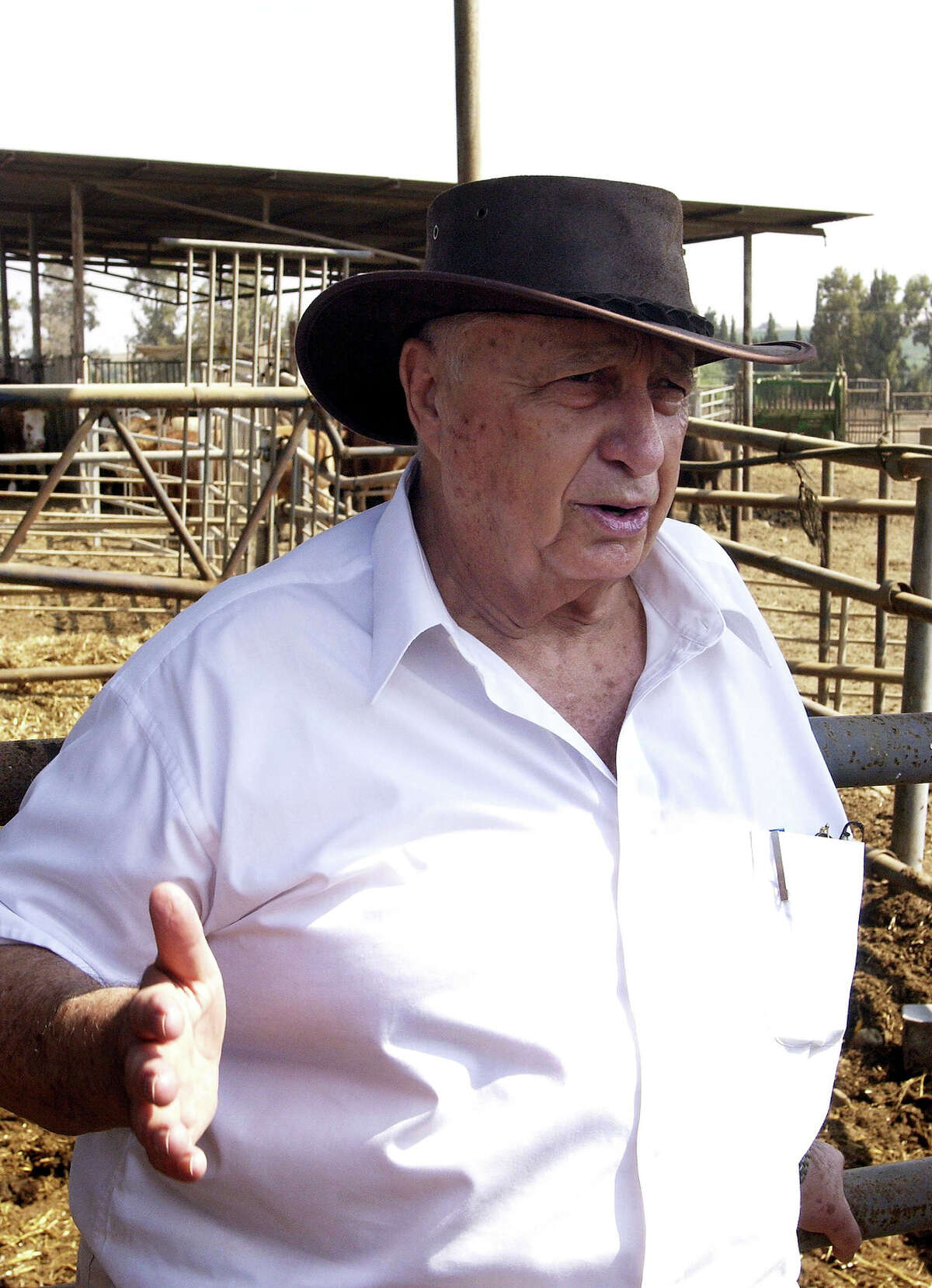 Ariel Sharon, former Israel PM, dies at 85