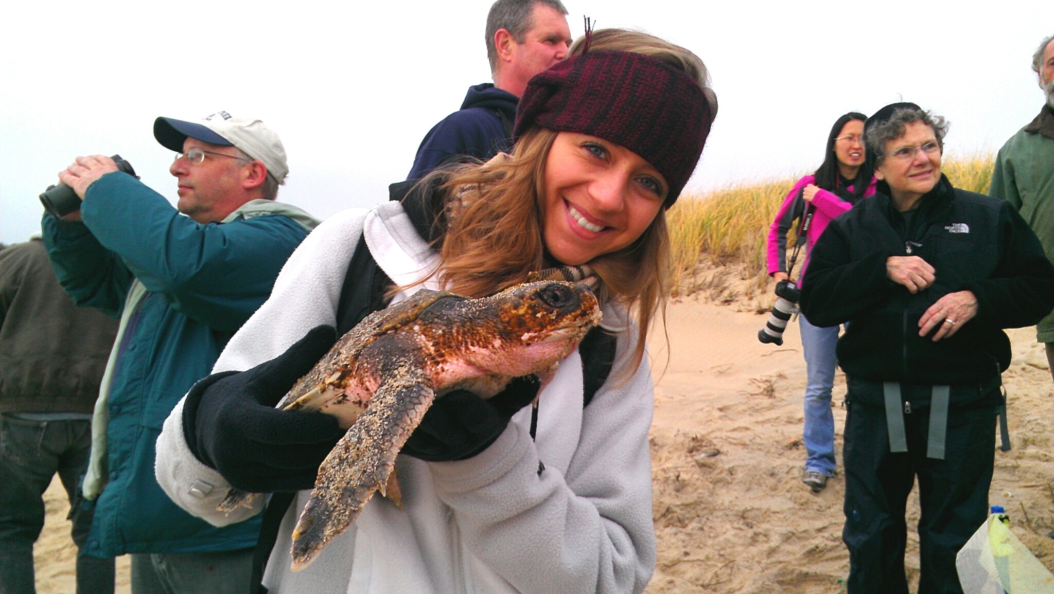 Freezing sea turtle gets helping hand
