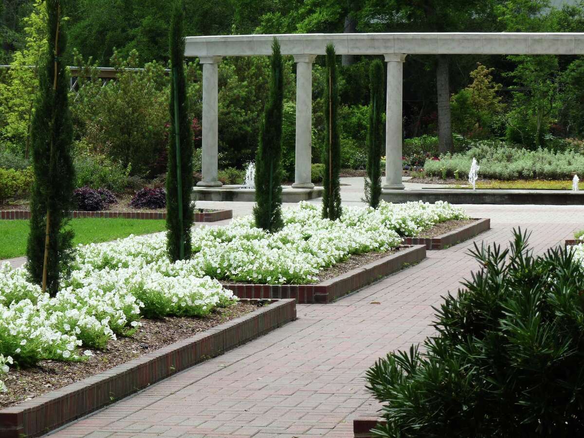 Mercer Arboretum turns 40