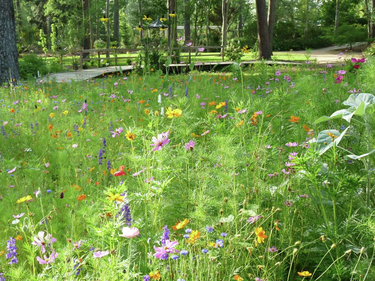 Mercer Arboretum turns 40