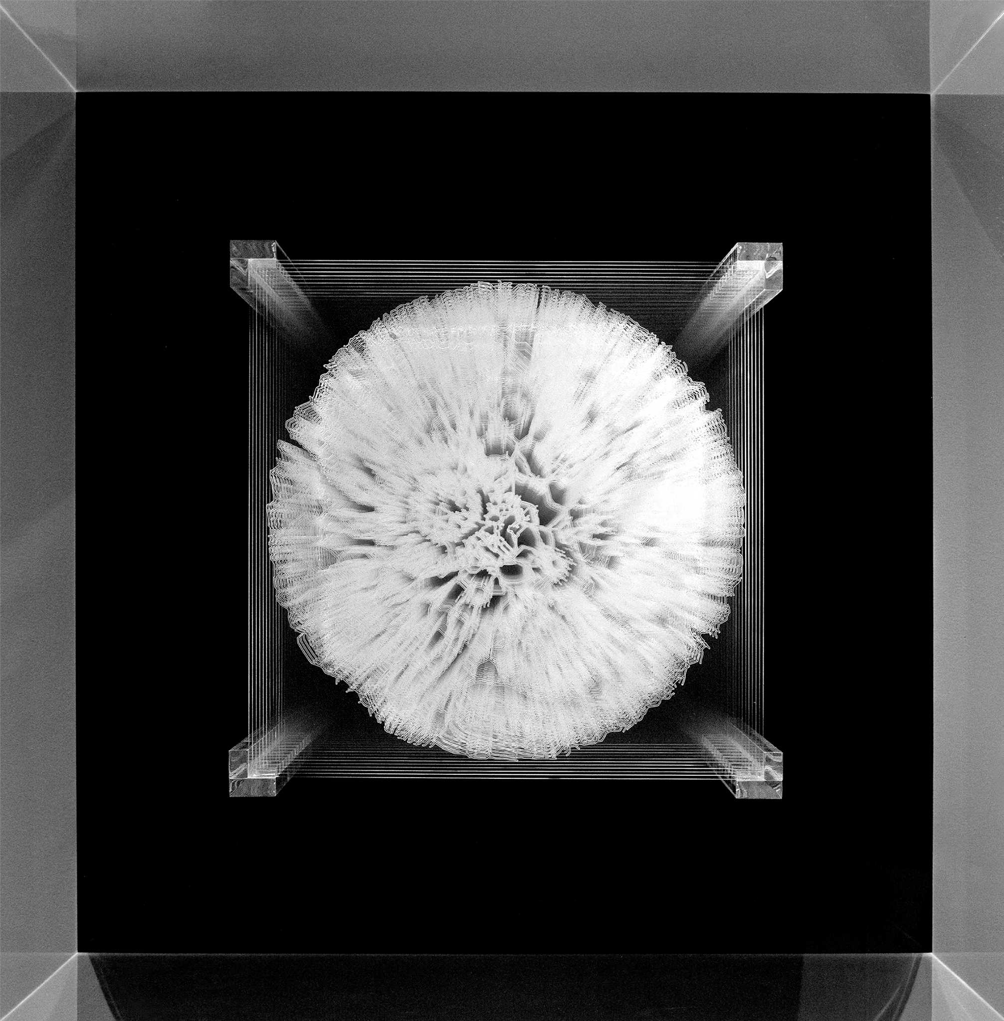 Finding a connection in science, visual arts