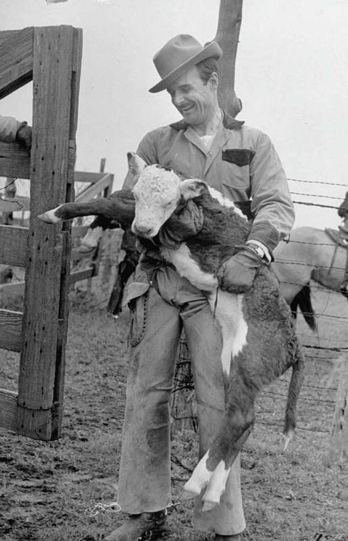 As ranchers rebuild, look back at cattle country’s peak