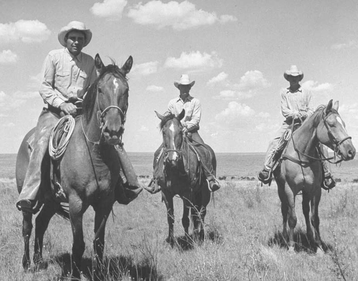 As ranchers rebuild, look back at cattle country’s peak