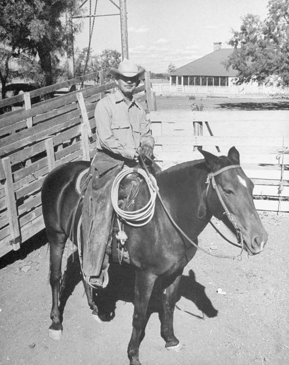 As ranchers rebuild, look back at cattle country’s peak