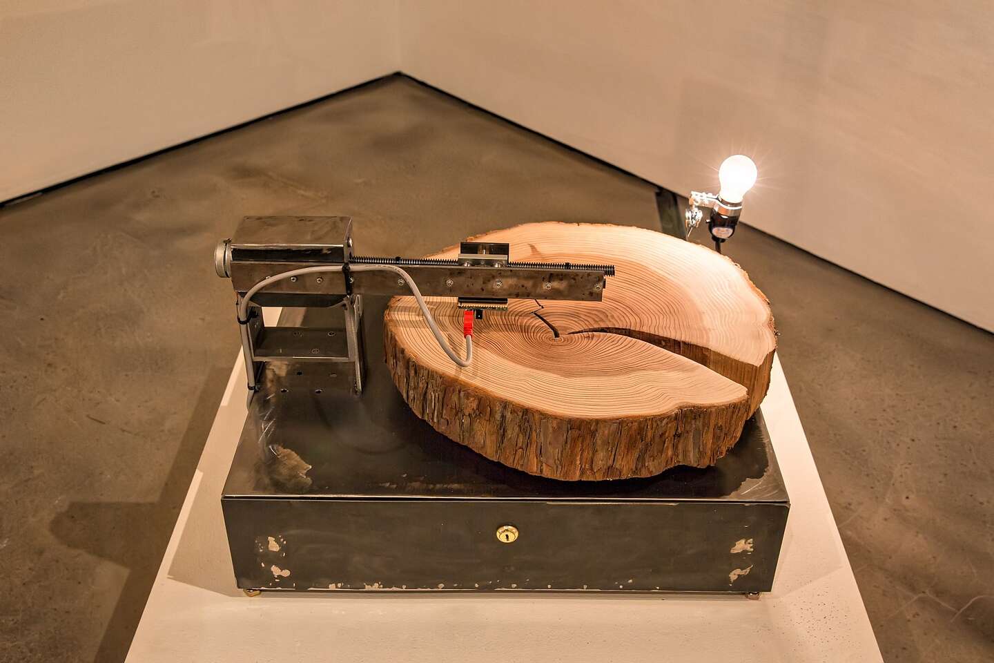 Terry Berlier's pieces encircle social, ecological, musical