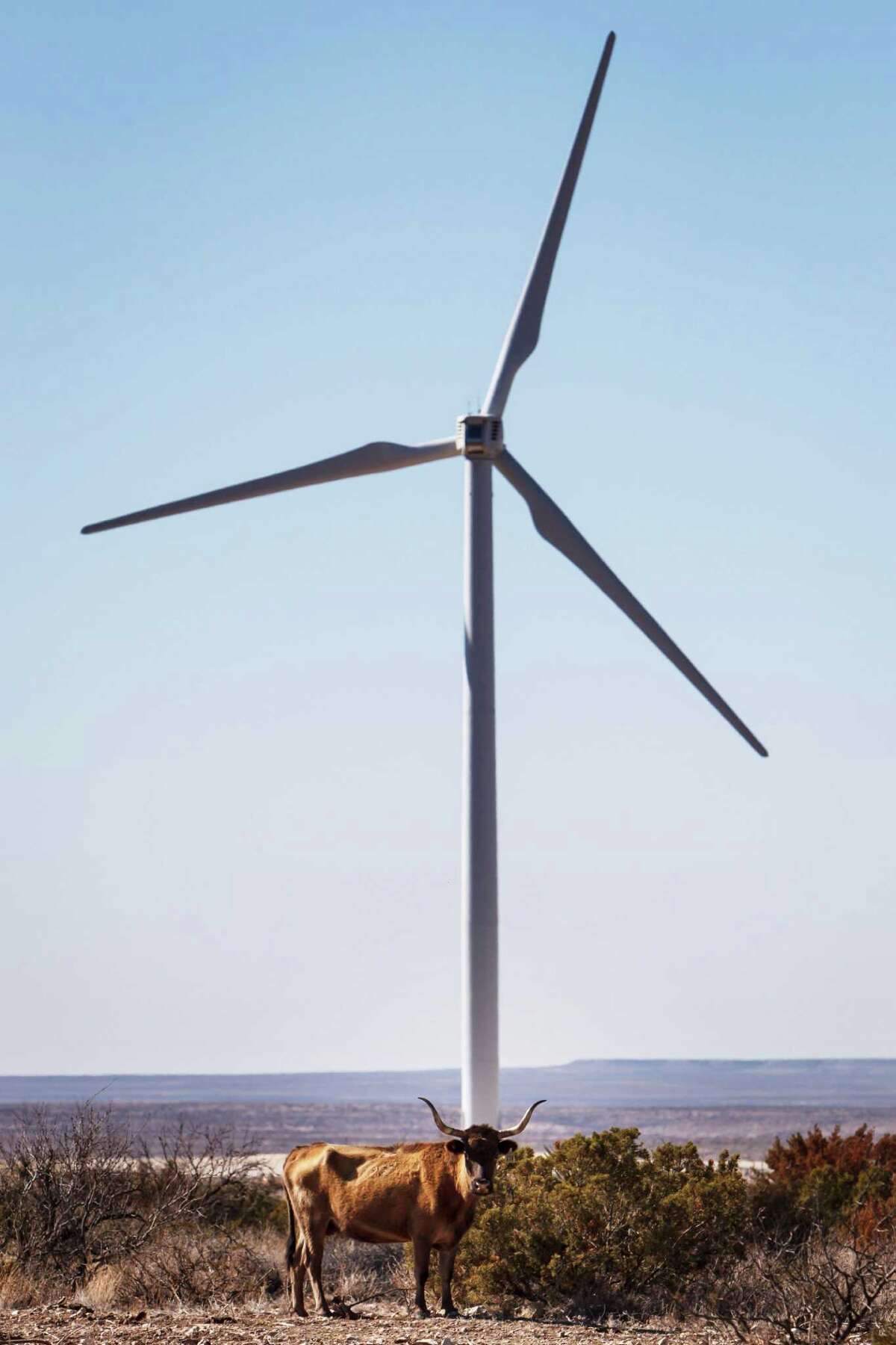 Stone: Wind energy is clean, efficient