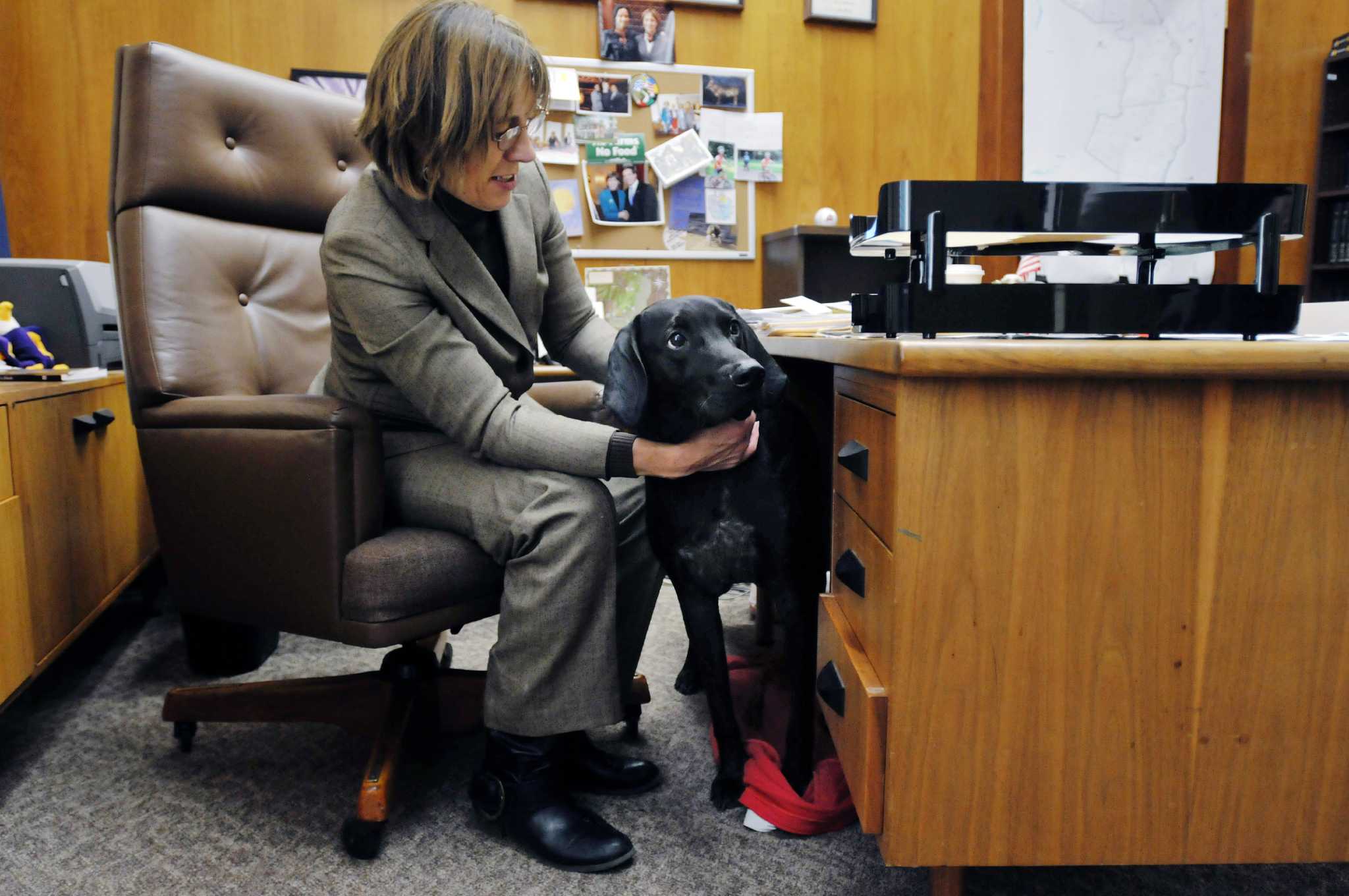 Photos: The senator's dog