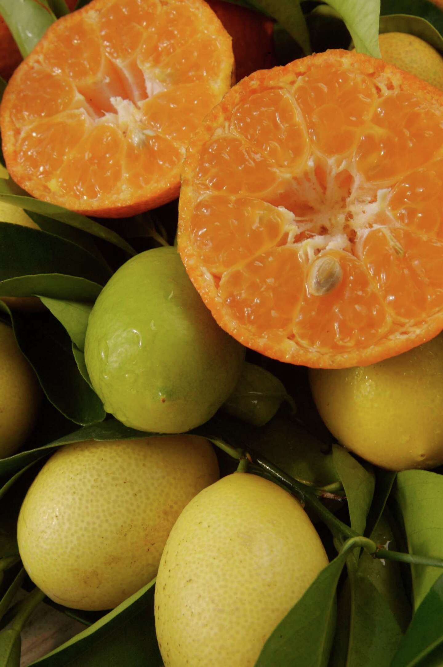 Houston gardeners have a passion for fruit