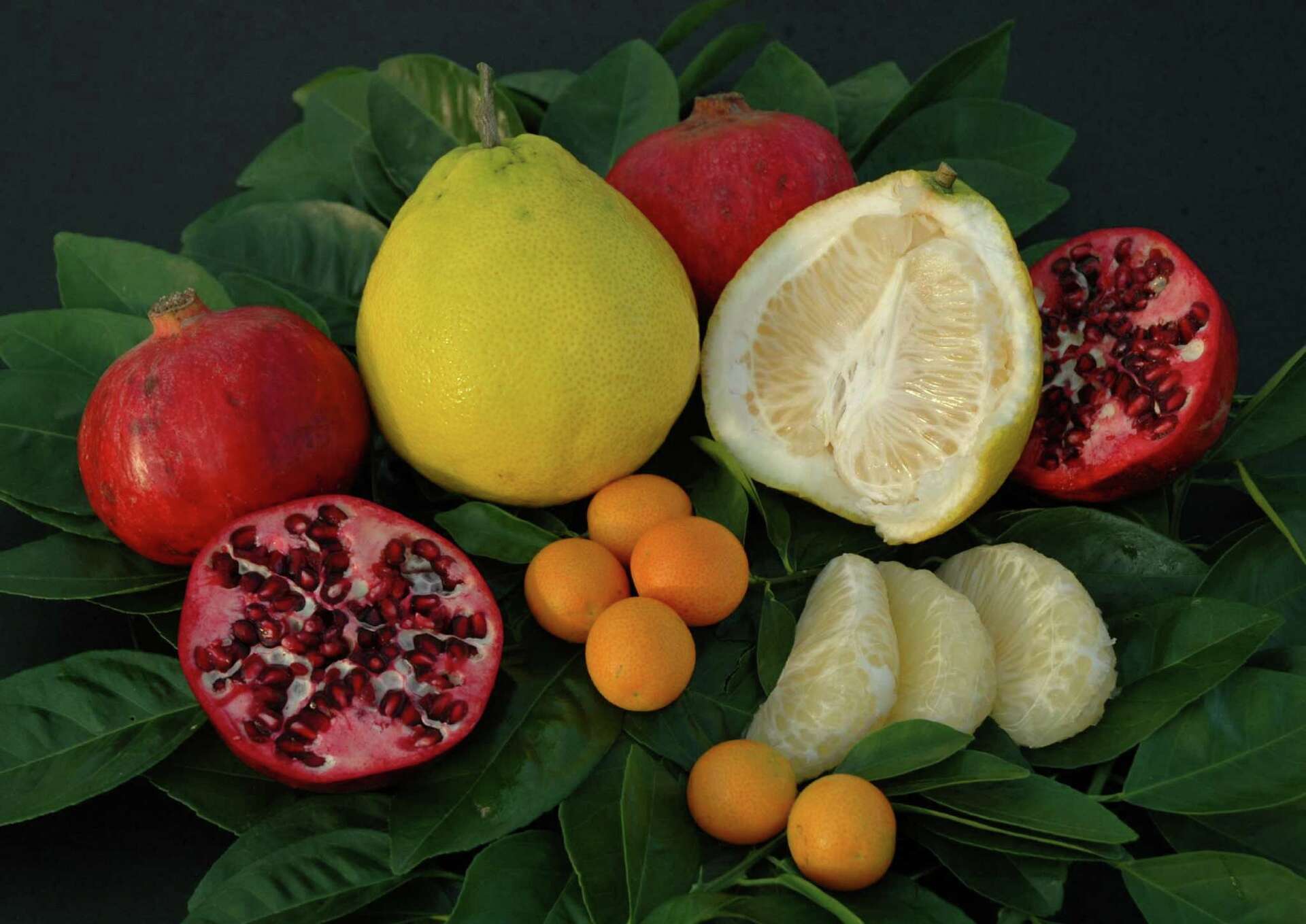 Houston gardeners have a passion for fruit