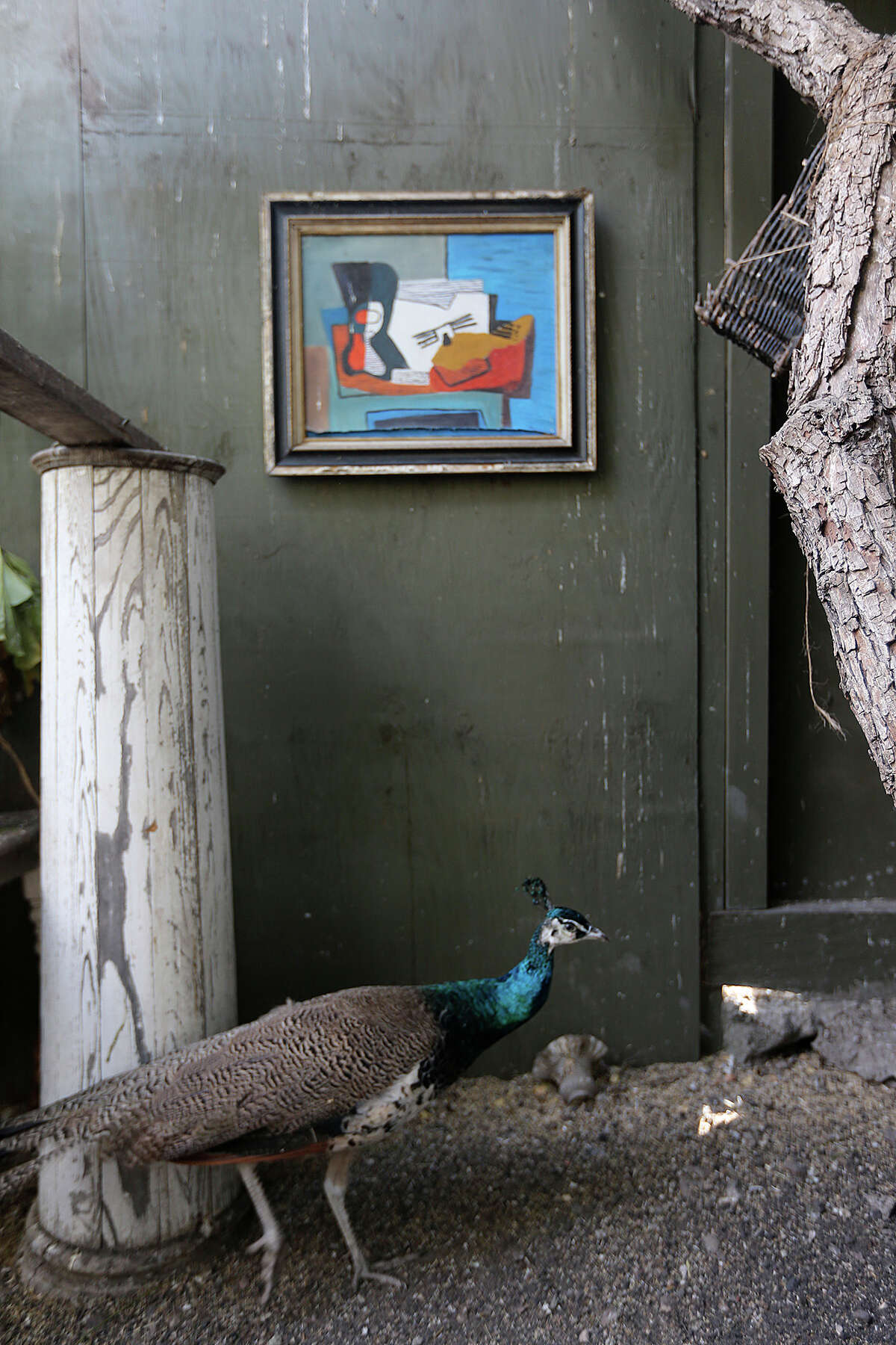 Pros offer tips for displaying framed work in the home