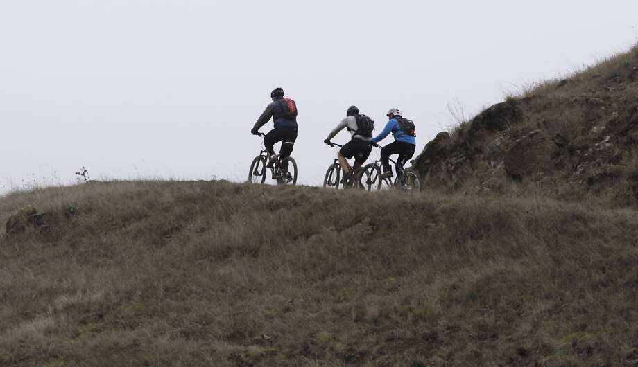 Big Rock Ridge: San Rafael trail offers great views - SFGate