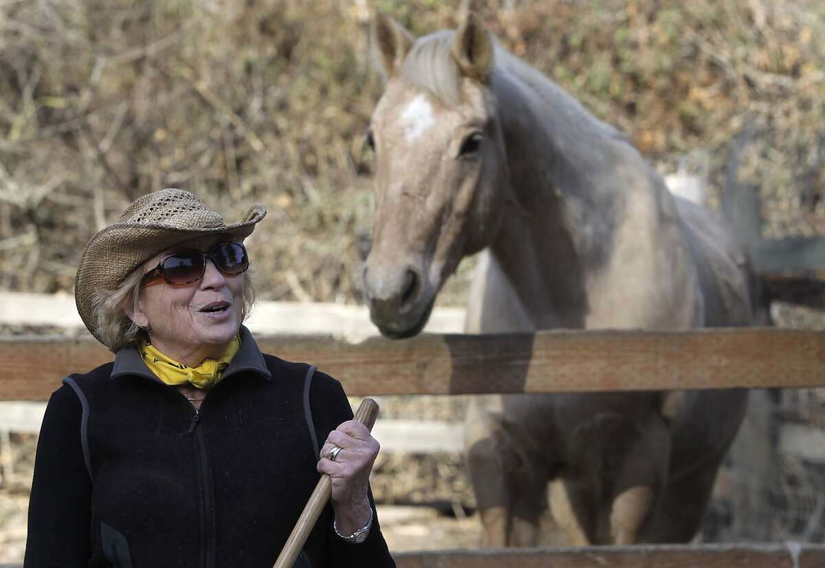 Muir Beach horse stable operators fight for livelihoods