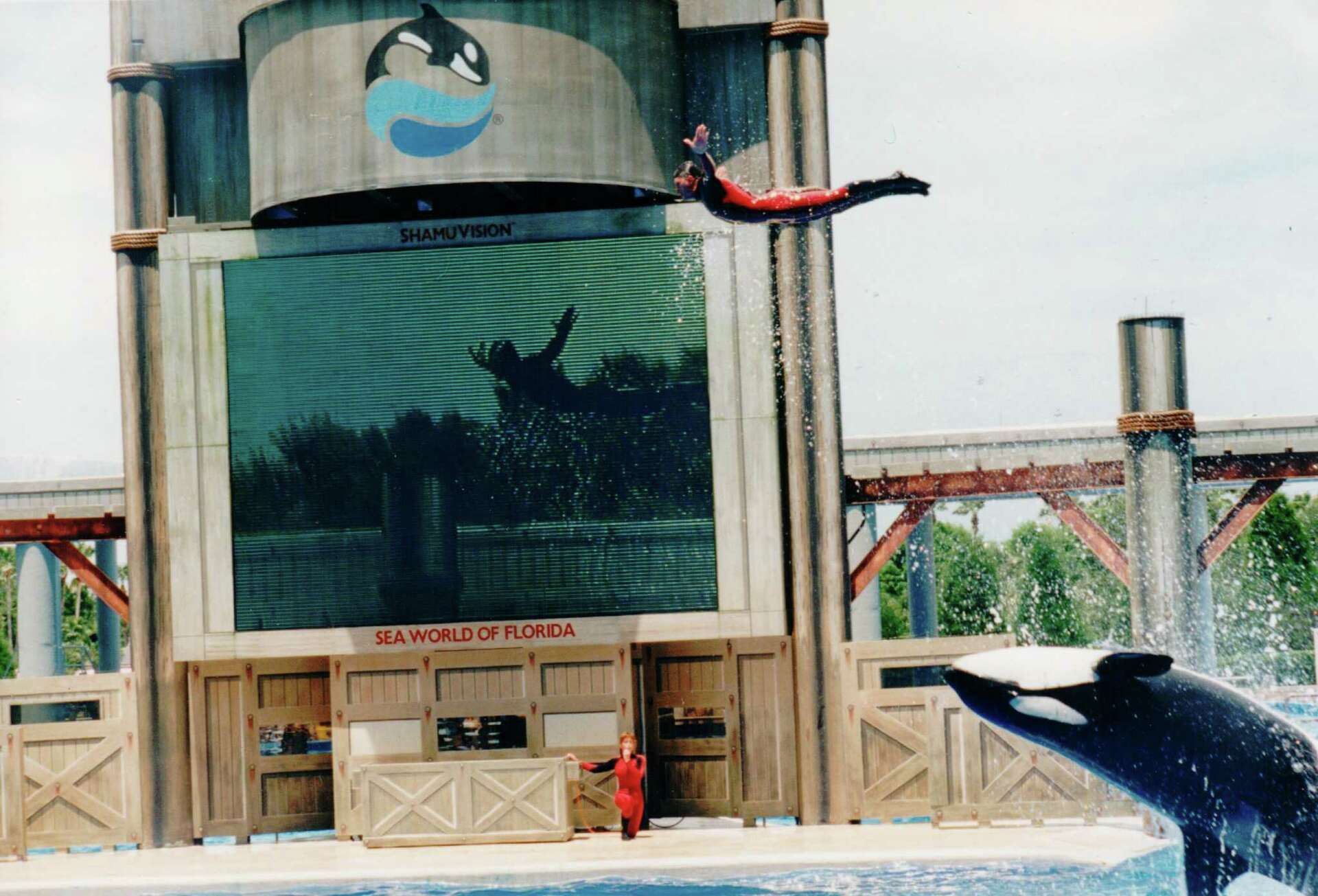 Ex-SeaWorld trainers dispute 'Blackfish,' say phase out whale show