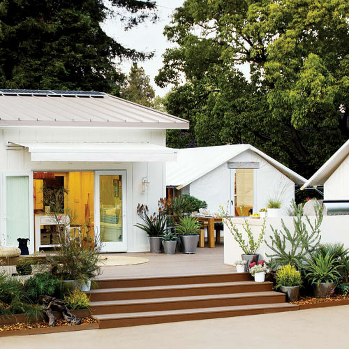 Creative ideas for backyard retreats and garden sheds