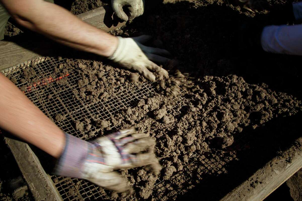 Amateur archaeologists sift through dirt from construction site