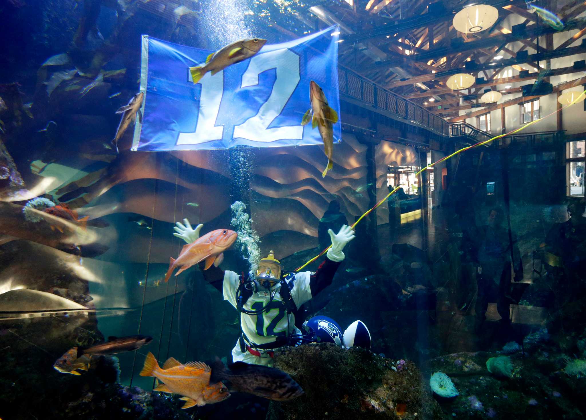 12th Man diver shows Seahawks support