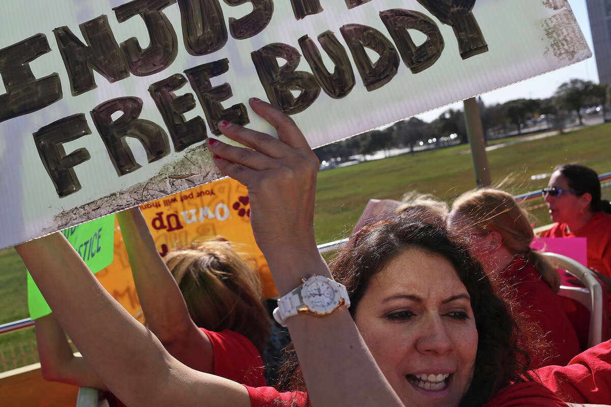 Animal activists turn out in support of Buddy the dog at Alamo rally