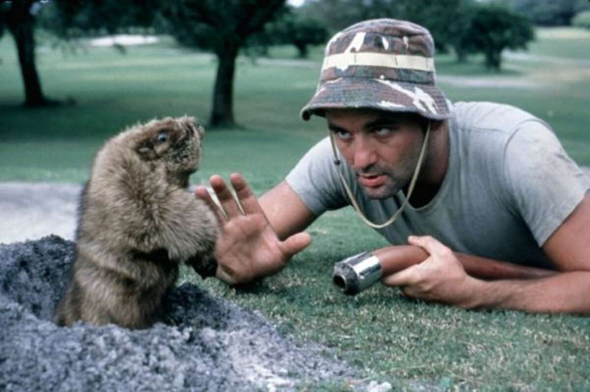 Bill Murray has a new 'Caddyshack'-themed bar going for him in Chicago