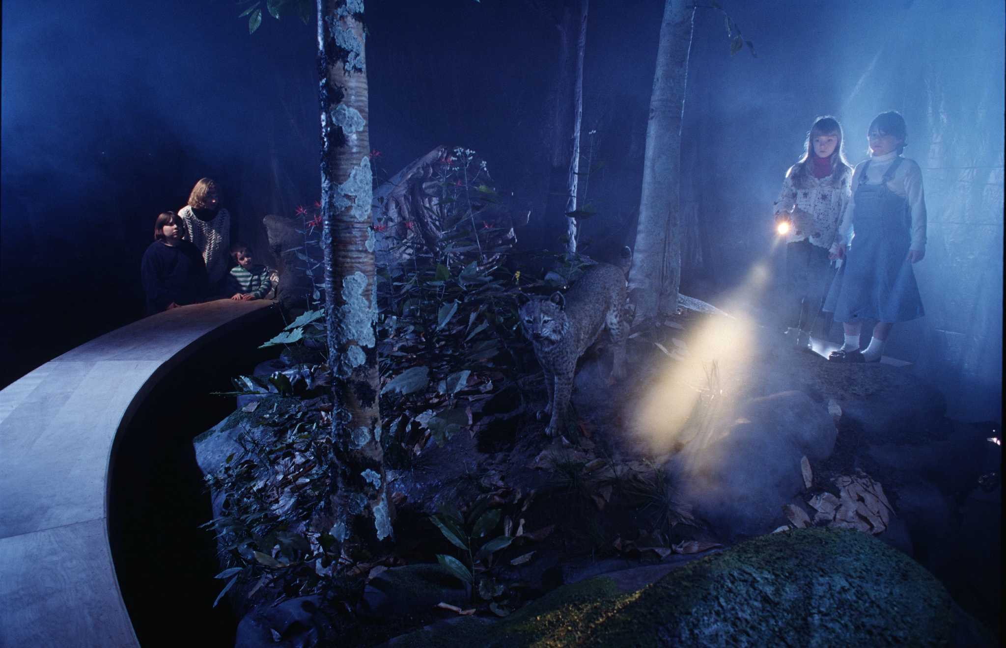 Bruce Museum exhibit uses darkness to enlighten