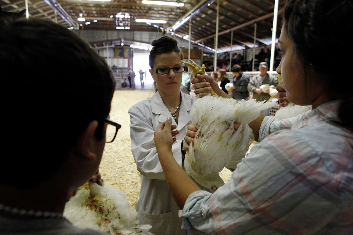 41st annual Walter Gerlach Livestock Show and Sale
