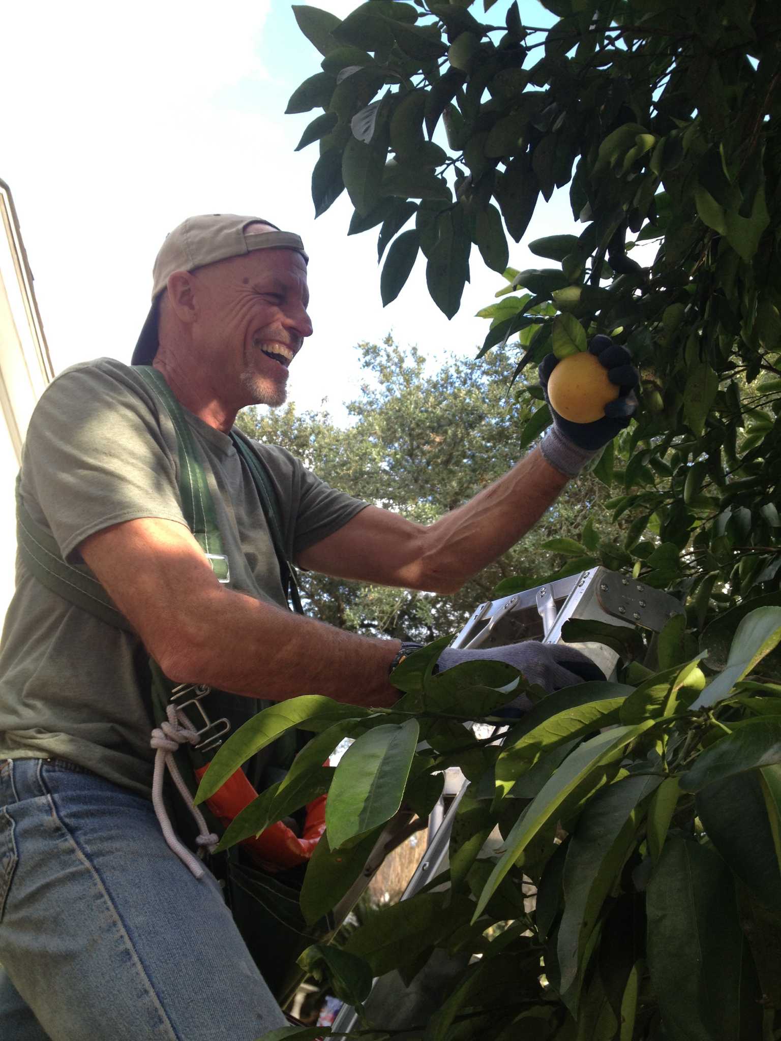 From fruit stolen, a friendship is harvested
