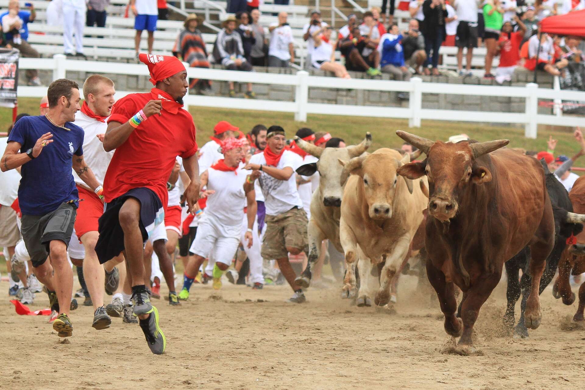 Texas' first ever bull run is coming to Baytown