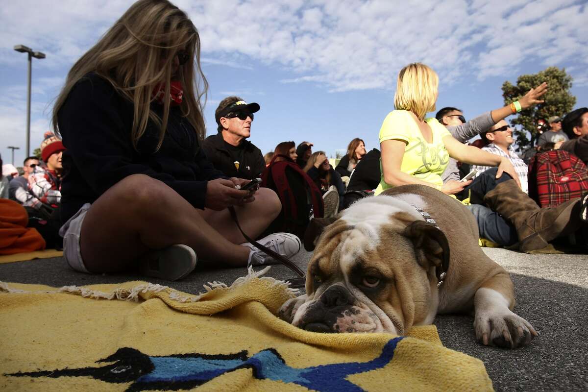 Mavericks surf contest draws thousands to experience thrills