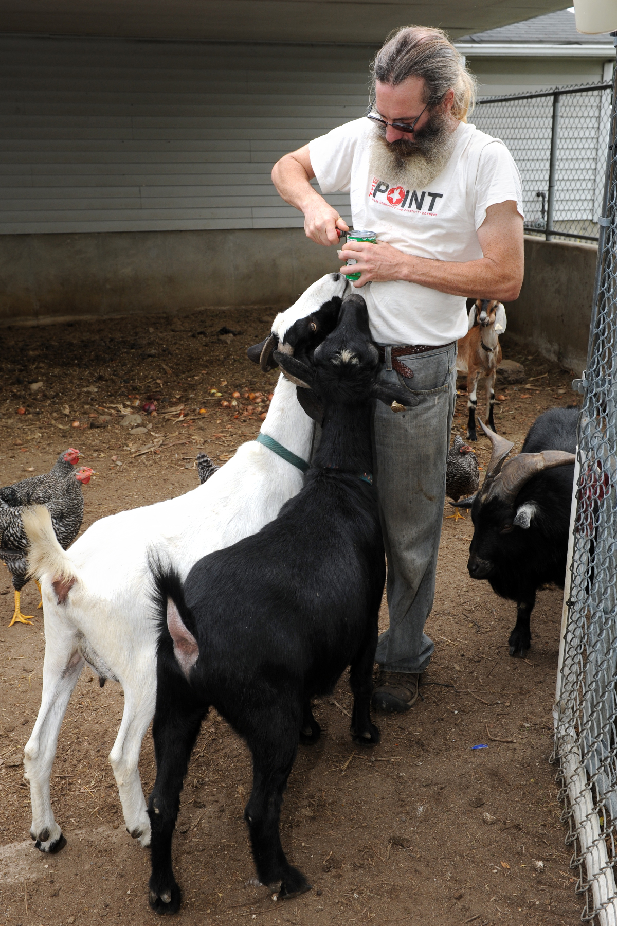 Urban farmer wants to butcher animals