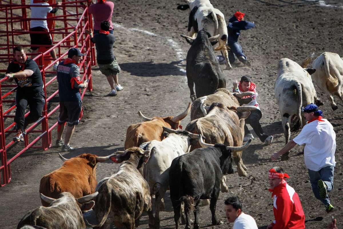 1 injured during Baytown bull run