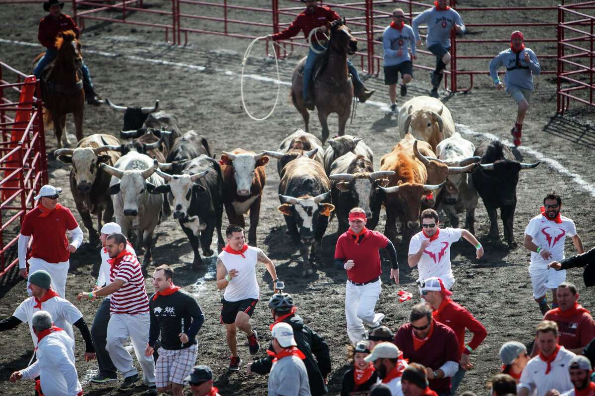 1 injured during Baytown bull run