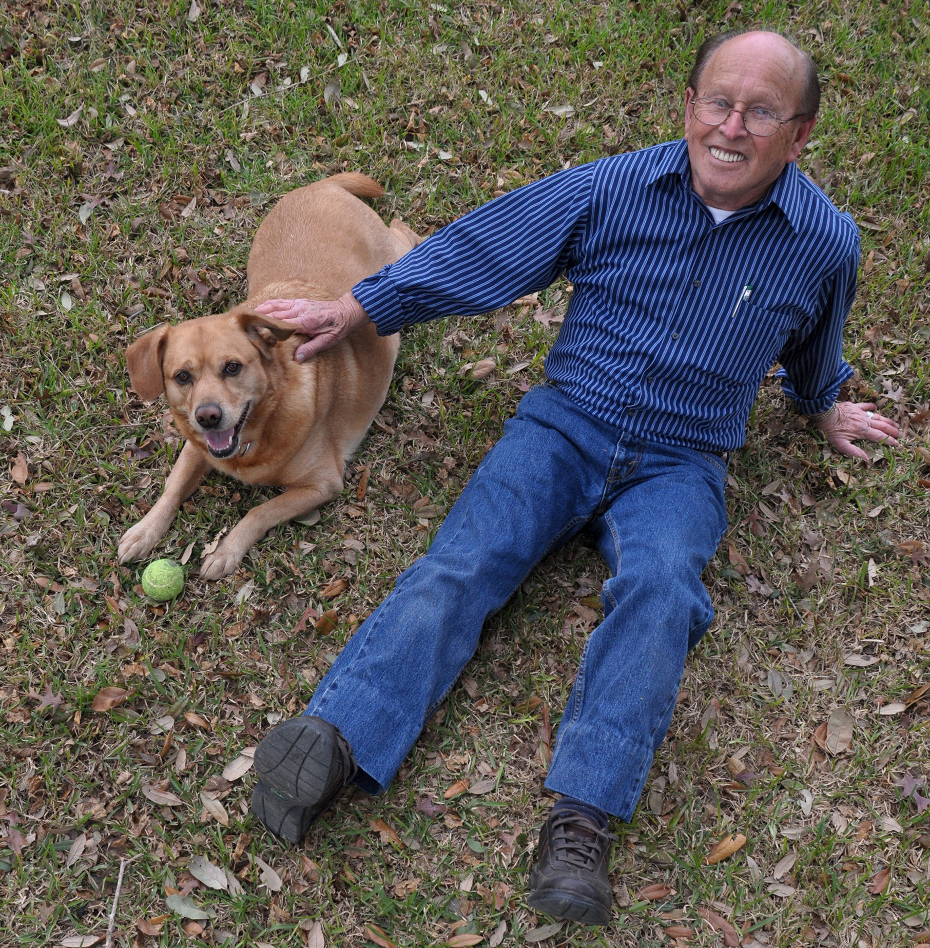 Buddy the Dog finally reunited with owner
