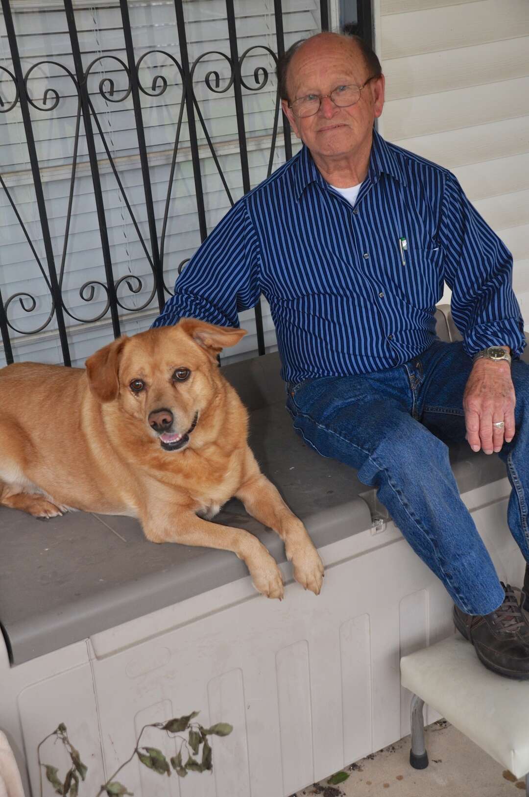 Buddy the Dog finally reunited with owner