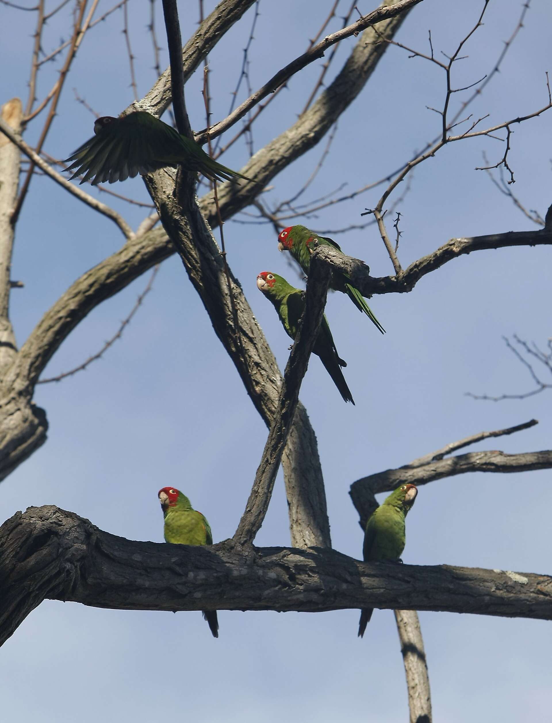 Love for walking: Open heart to stronger body, mind