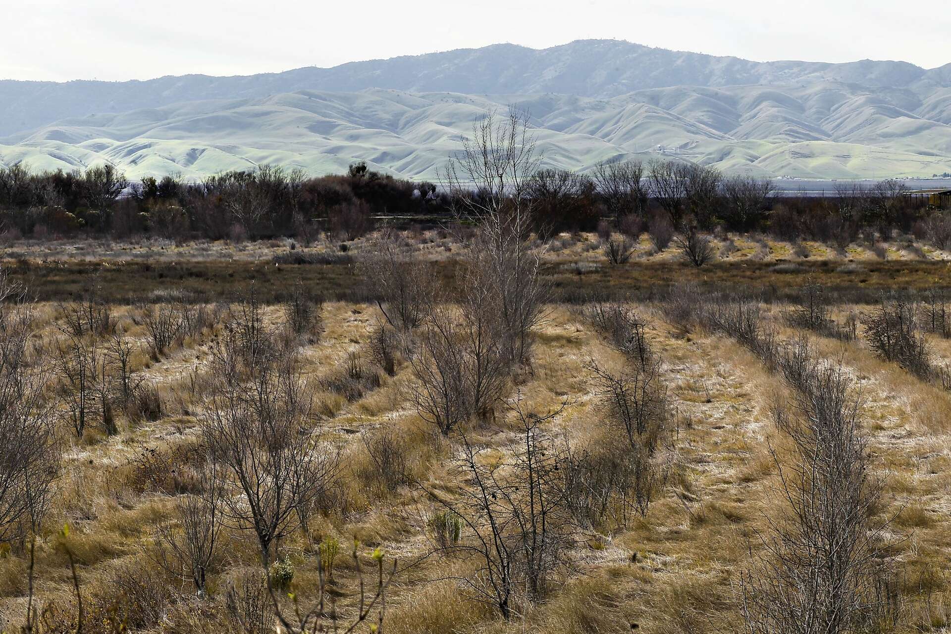 California drought: communities at risk of running dry