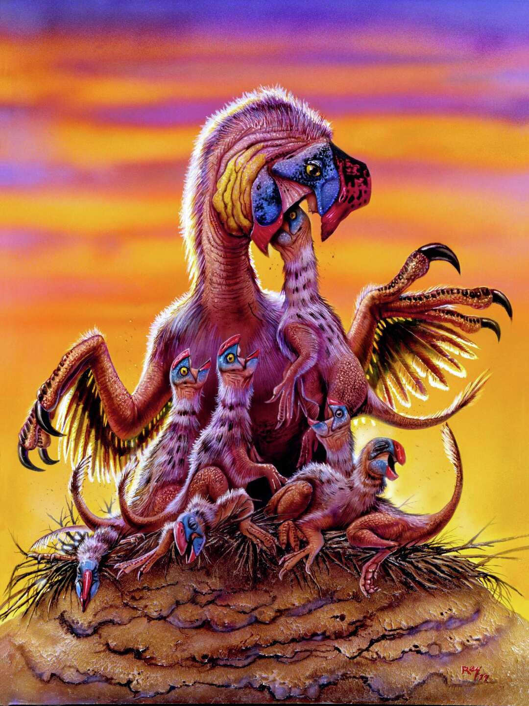 See fossilized dinosaur eggs, babies