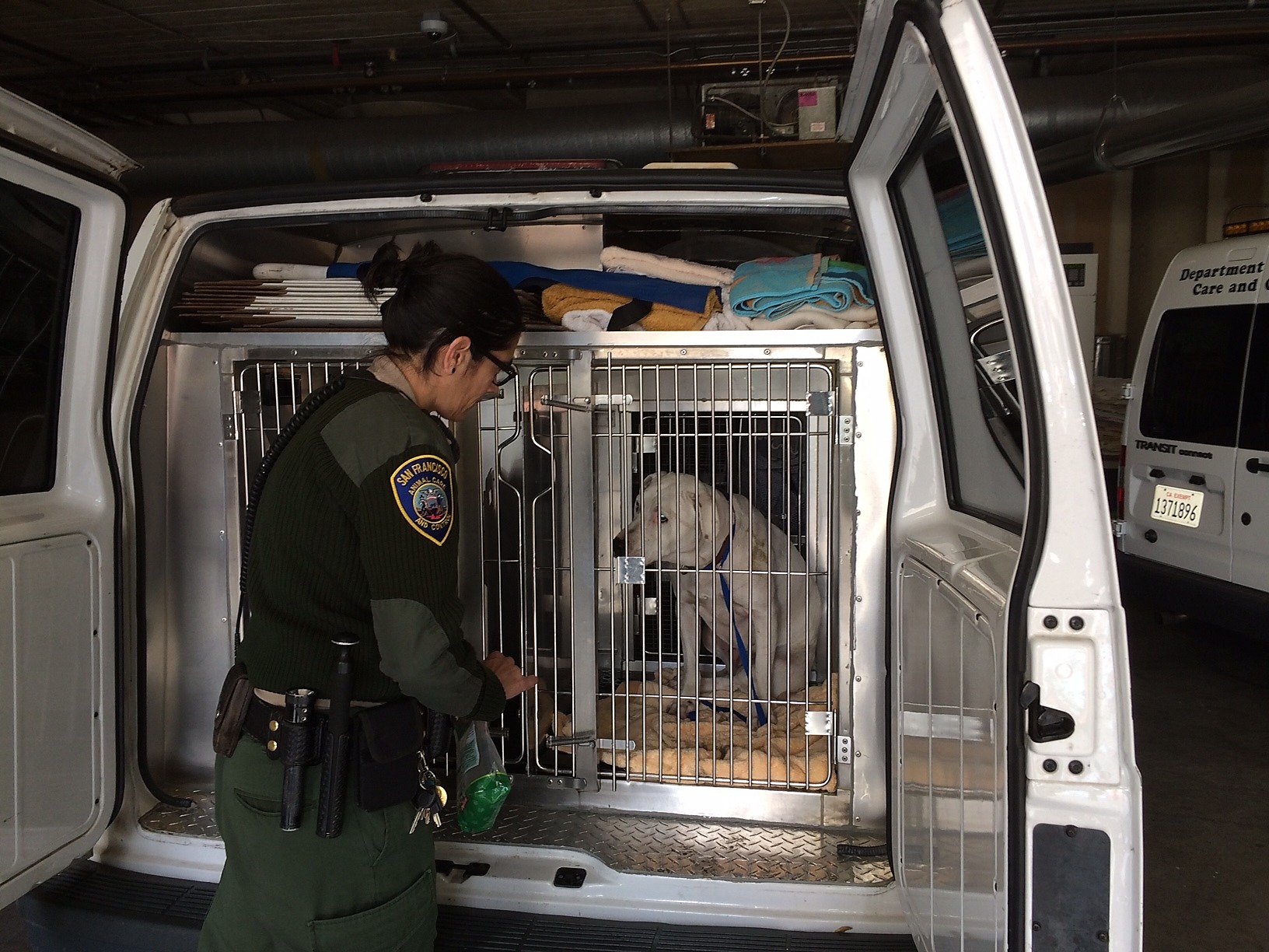 Police kill attacking dog in Golden Gate Park