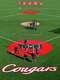 UH baseball field features colorful new look