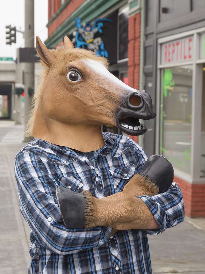 Equine stars of pop culture and history - San Antonio Express-News