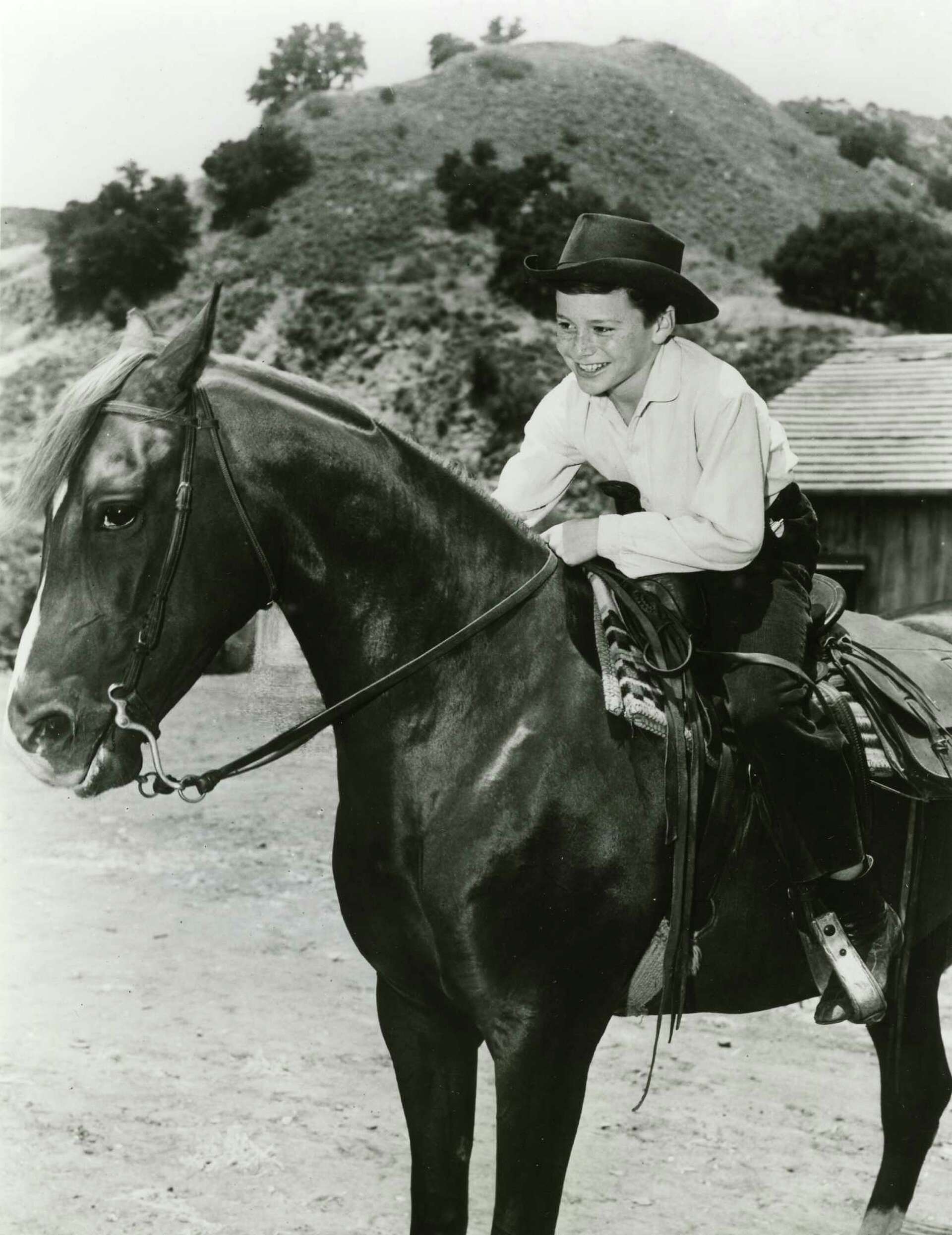 Equine stars of pop culture and history