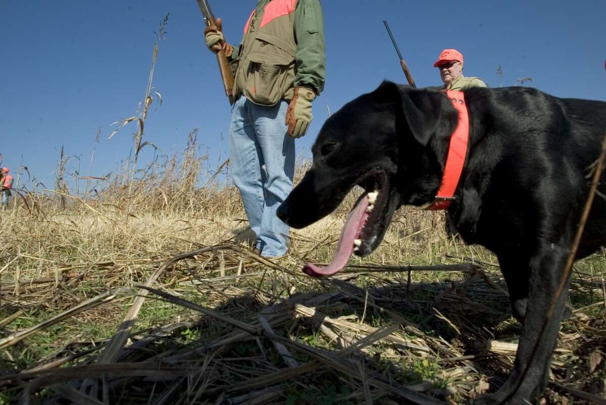 Texas hunting deadlines approaching