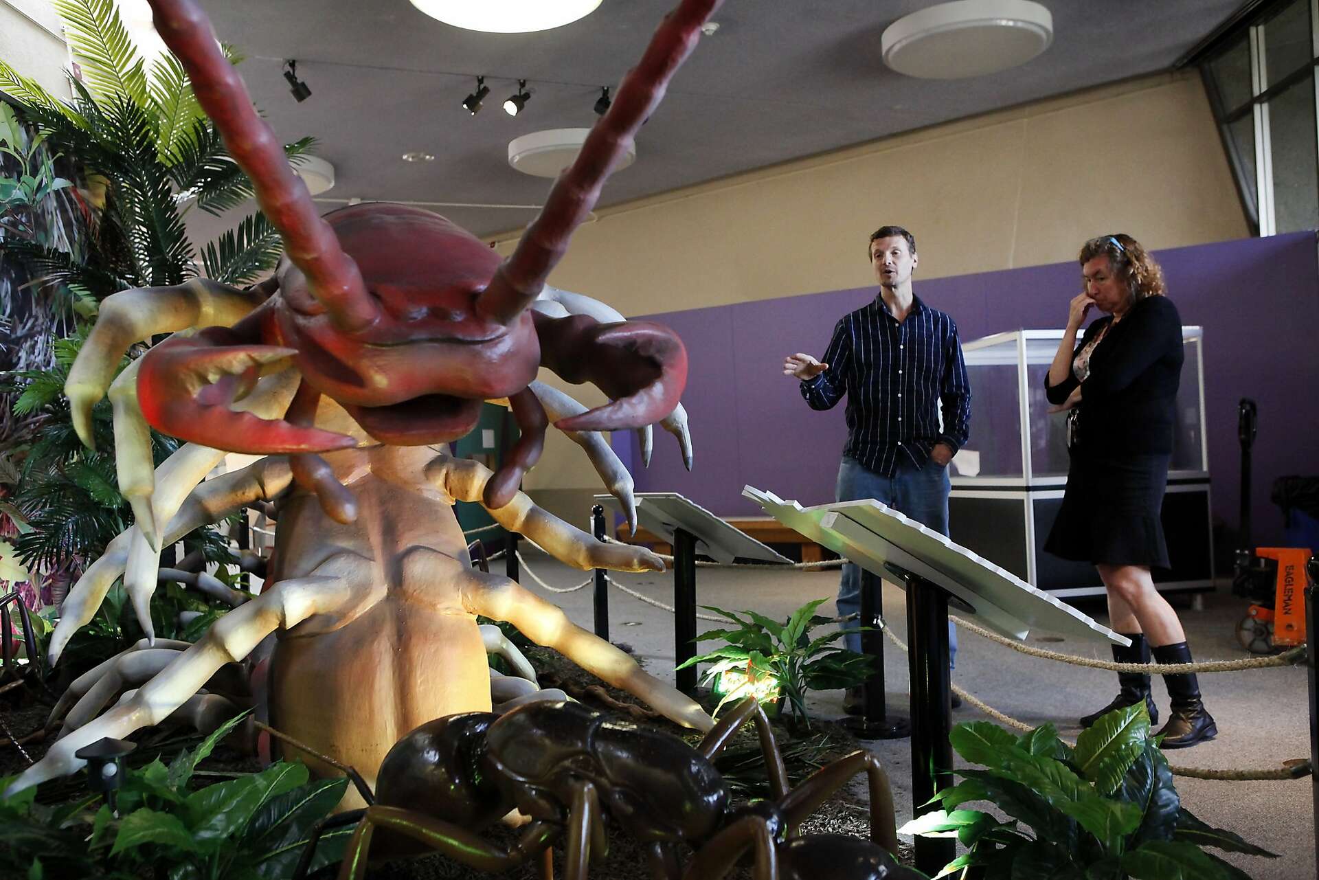 'Xtreme Bugs' exhibit invades Lawrence Hall of Science