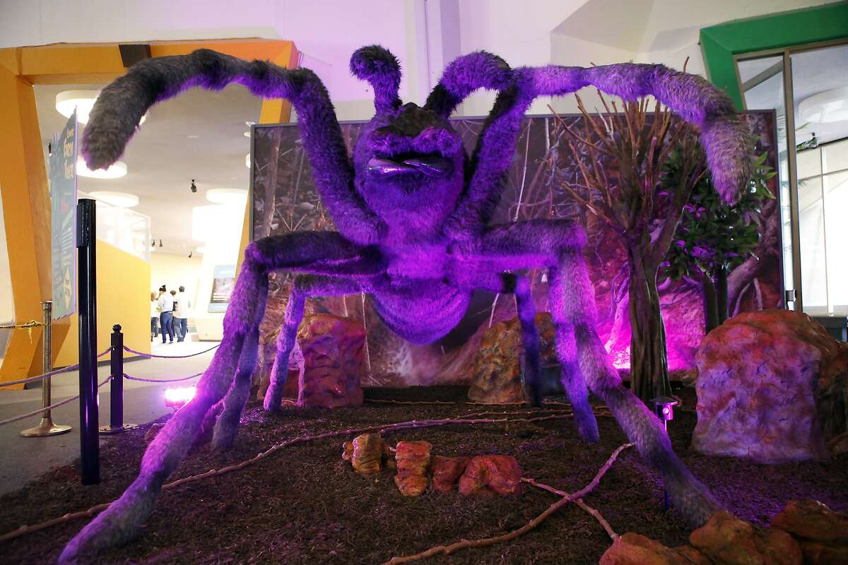 'Xtreme Bugs' exhibit invades Lawrence Hall of Science