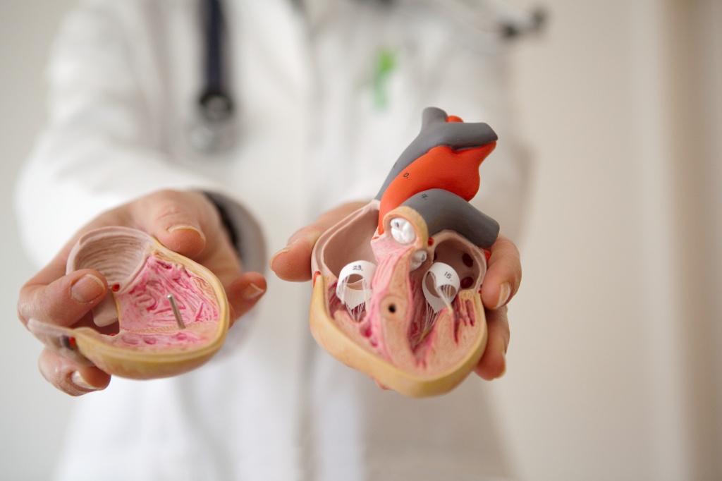 Houston's COR Medical Technologies names president