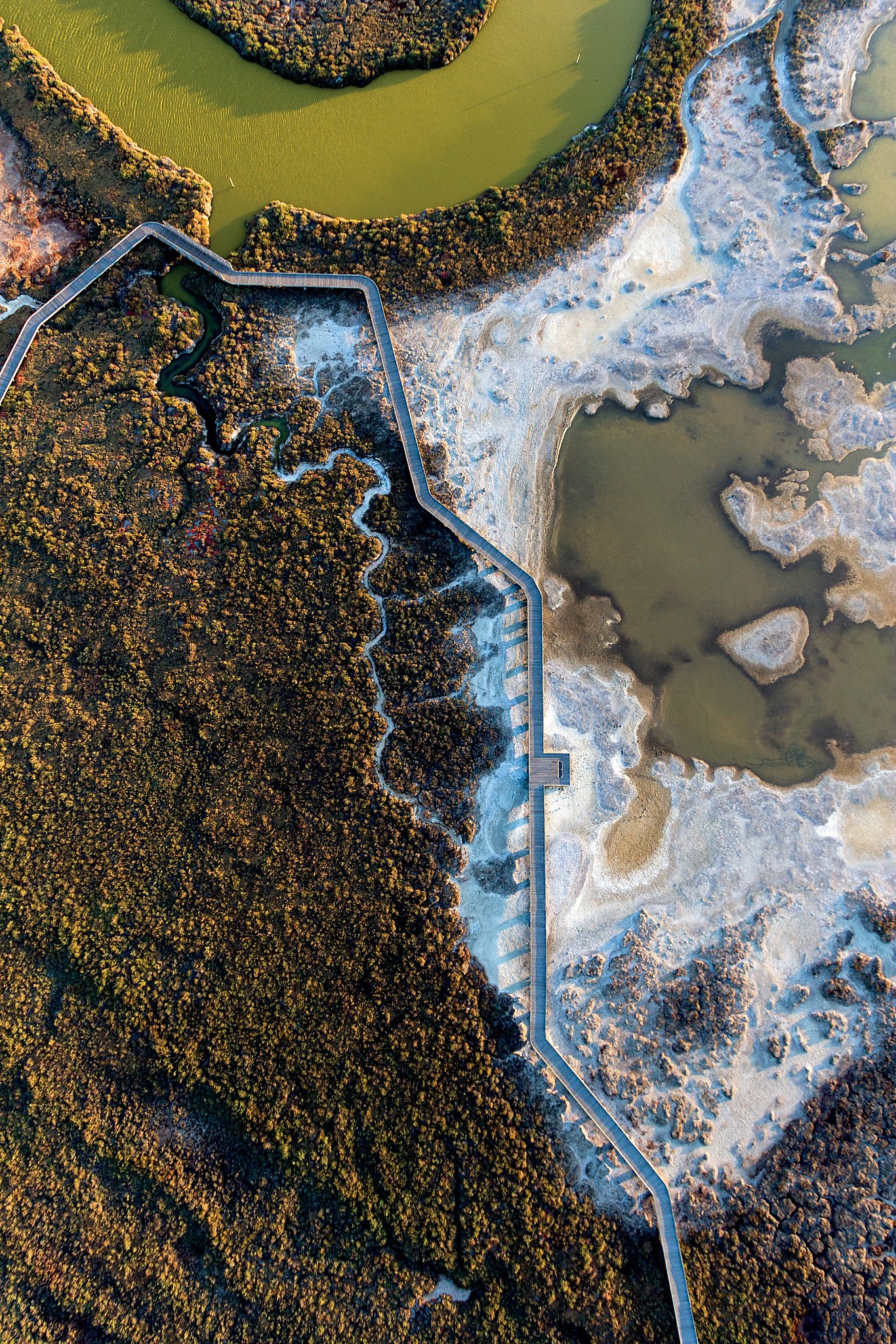 'Saltscapes: The Kite Aerial Photography of Cris Benton'