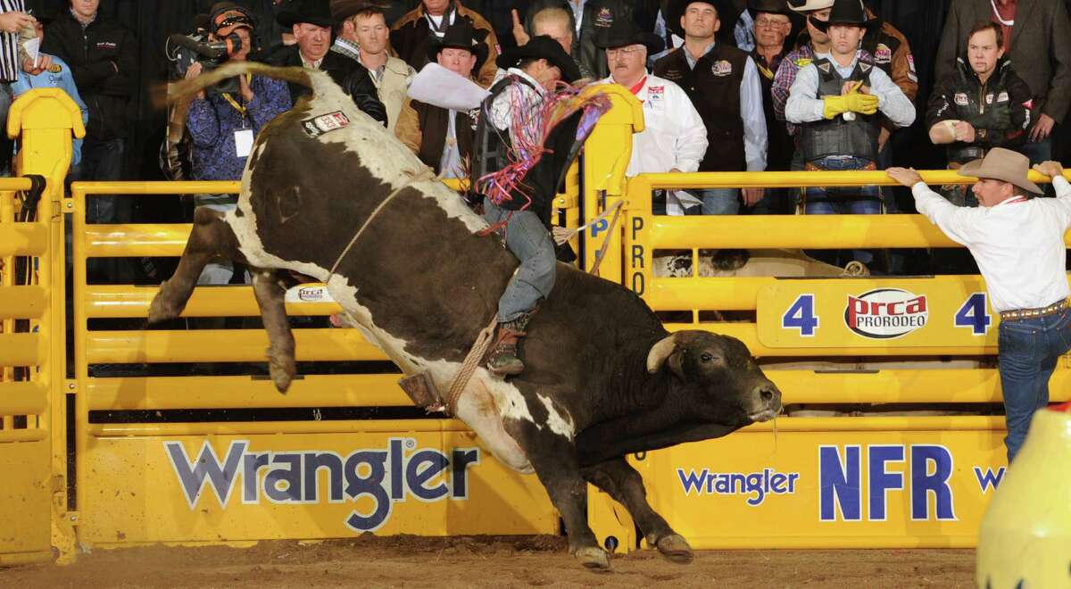 Hill Country bull rider Jacoby riding high