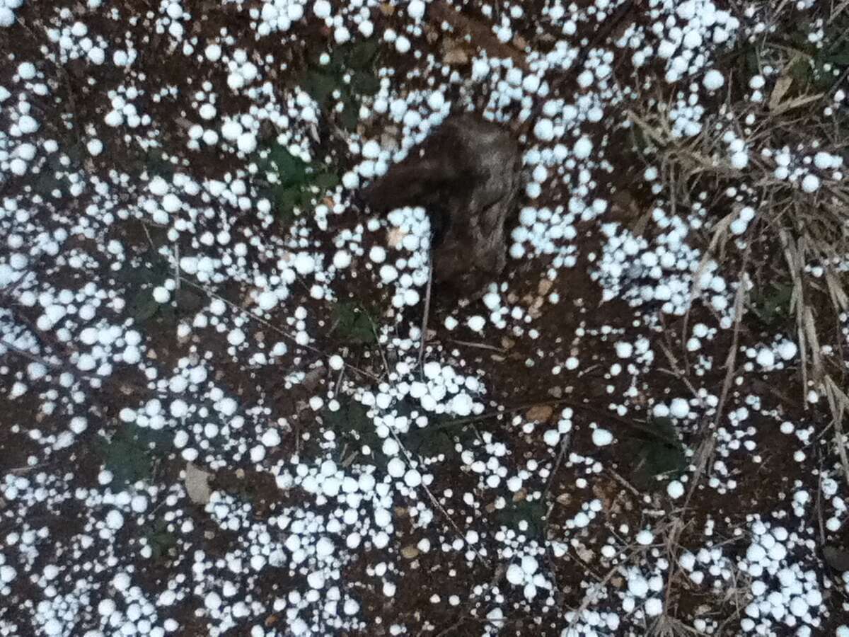 Bexar winter weather advisory canceled; Austin area still a concern