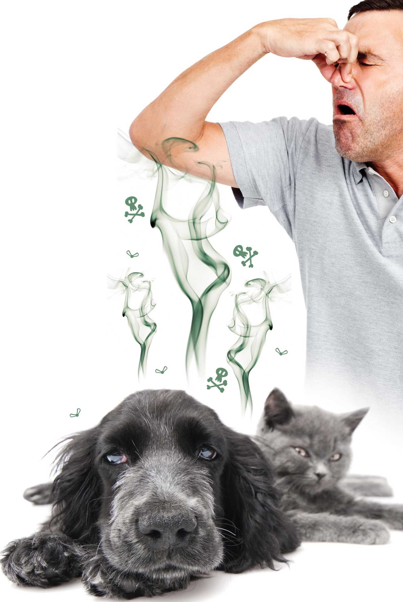 Effects Of Muzzling A Dog at David Carstens blog